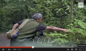 Bush Survival - 7 New Zealand Edible Native Plants